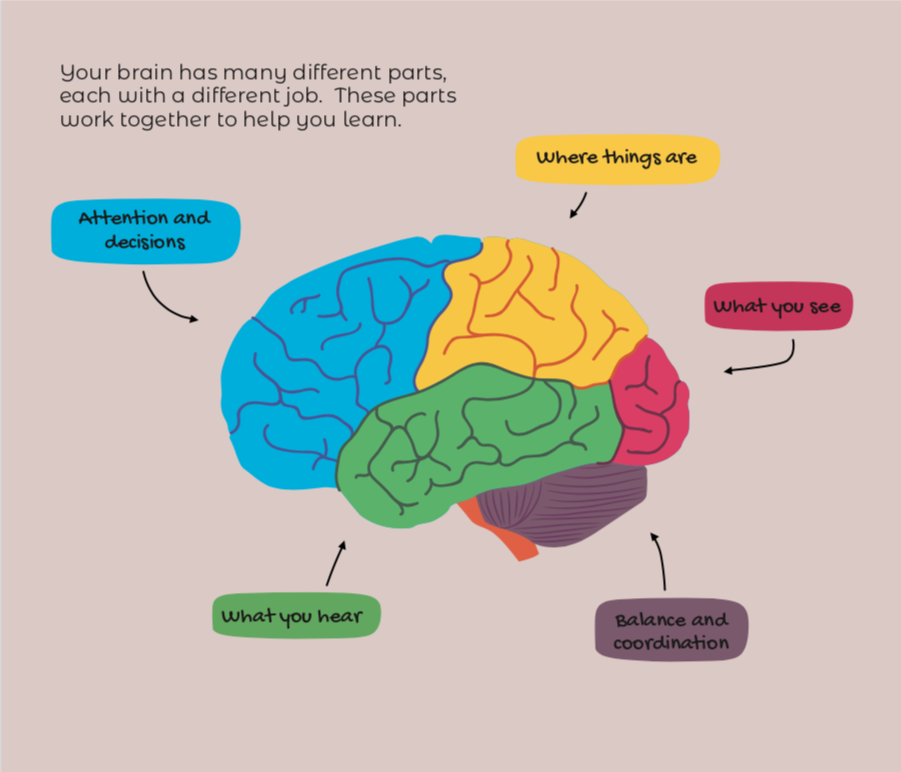 Build Your Brain! | Dr. Liz Angoff